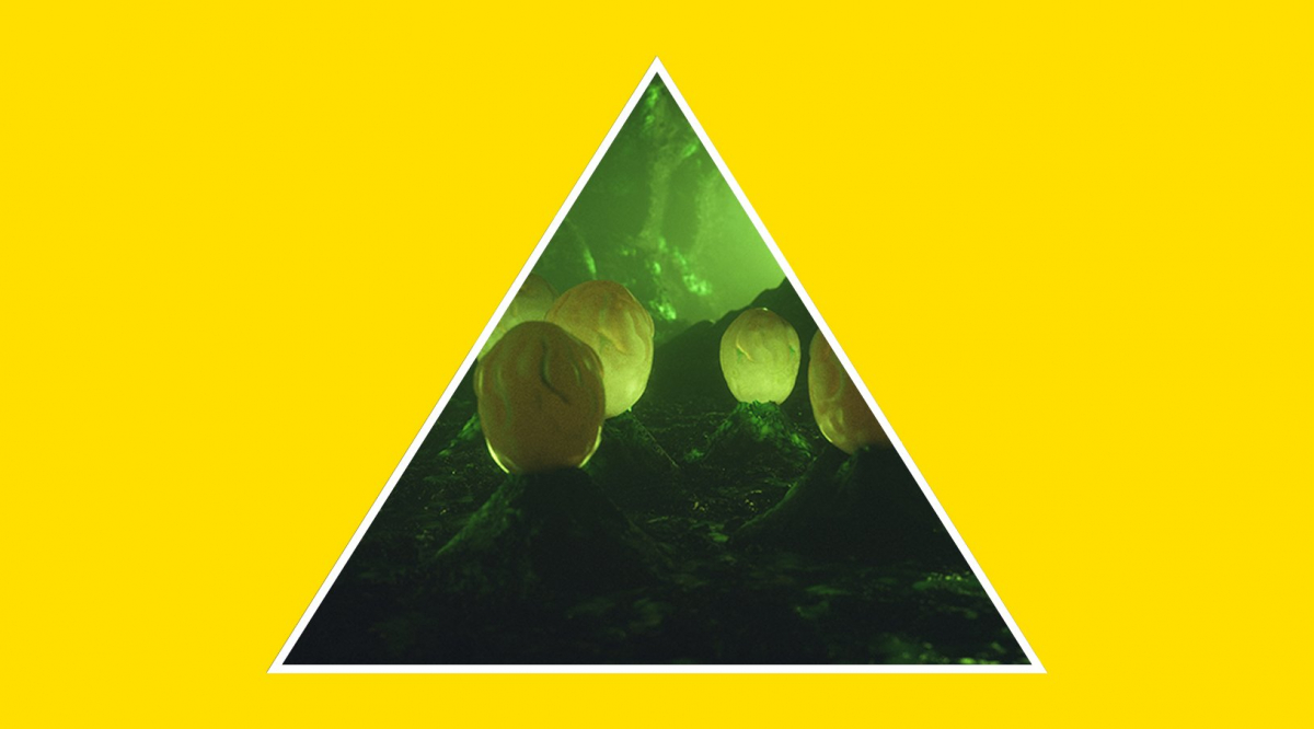 Todo sobre Alien: Romulus: sinopsis, personajes, tráiler y más | Bloygo