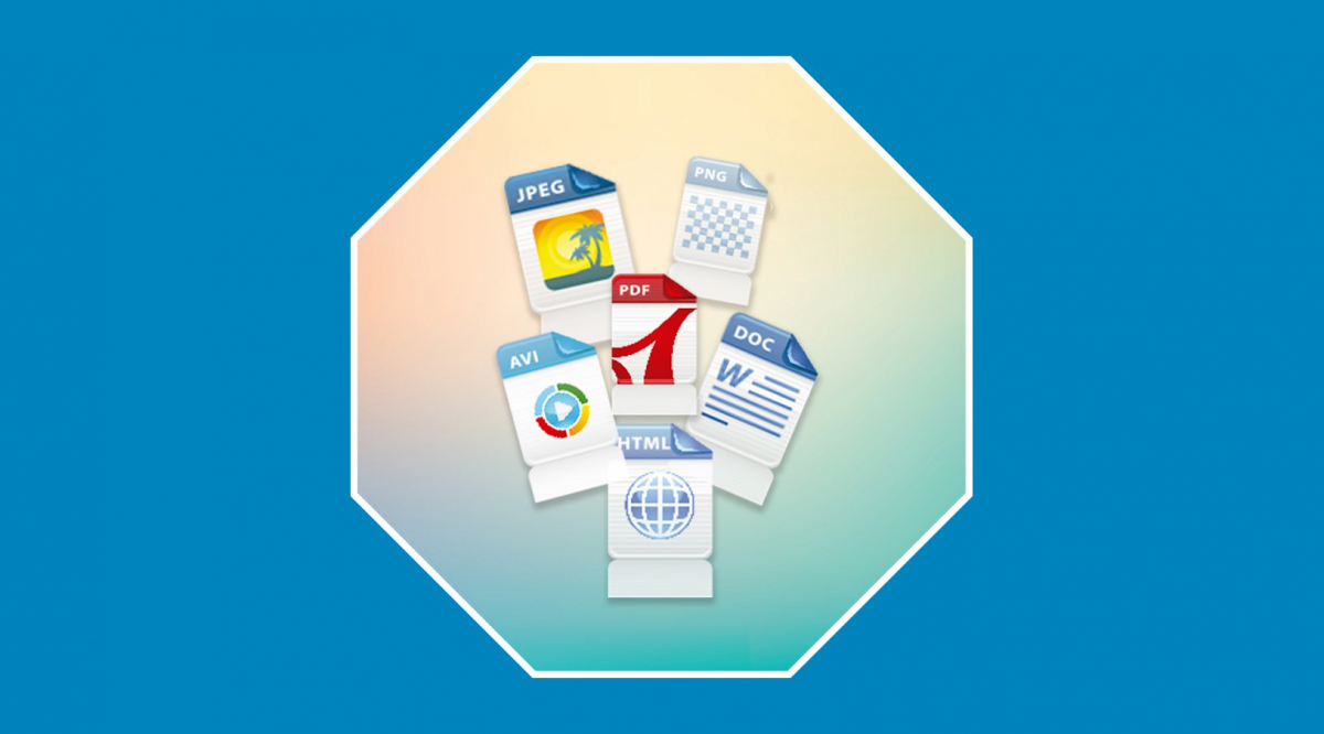 Tipos de formato para foto, vídeo, texto y compatibilidades | Bloygo