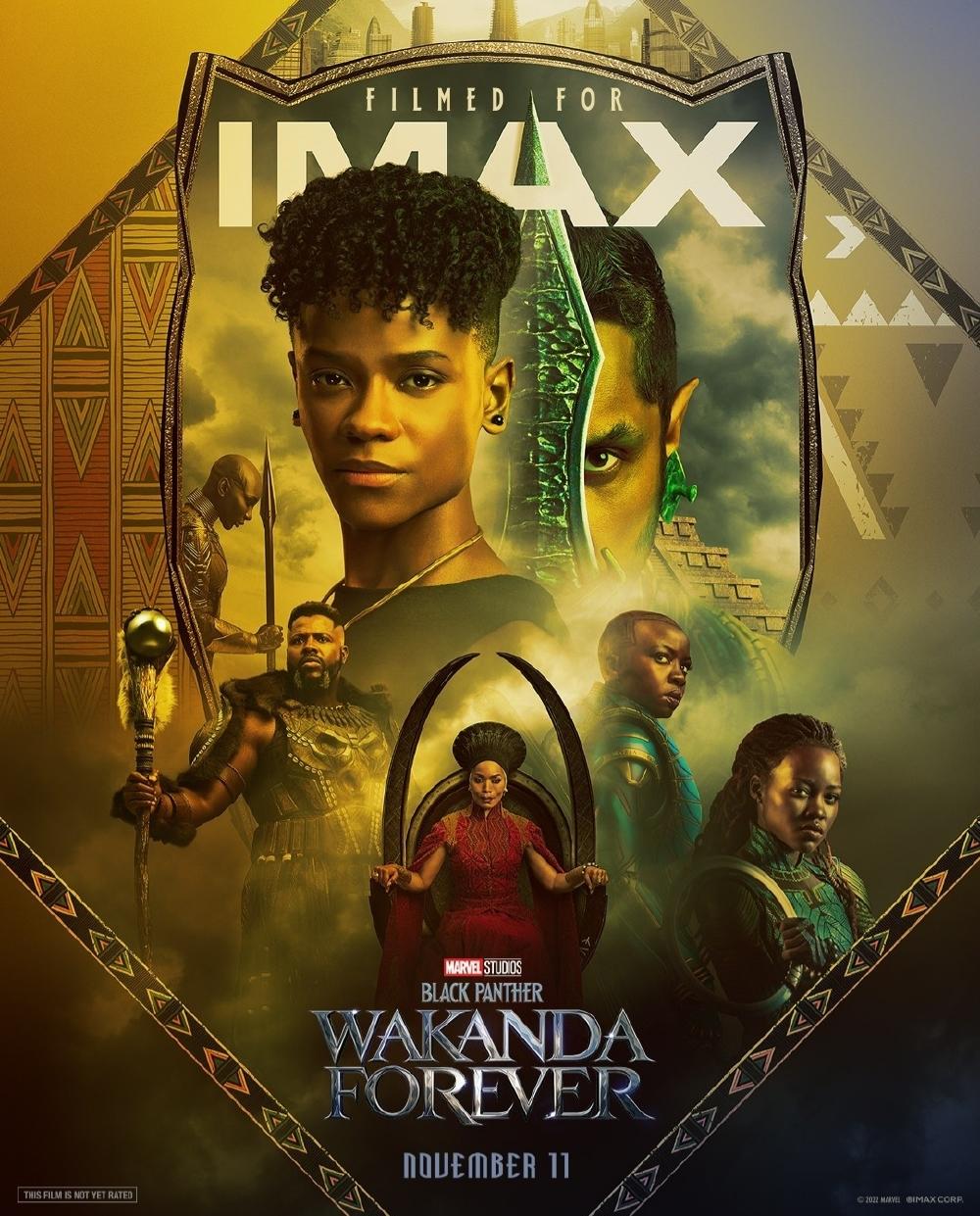 Black Panther 2: tráiler, reparto, fecha de estreno y más | Bloygo Black Panther 2: tráiler, reparto, fecha de estreno y más | Bloygo