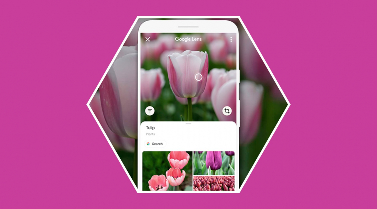 Qué es Google Lens y cómo funciona en móviles Android | Bloygo
