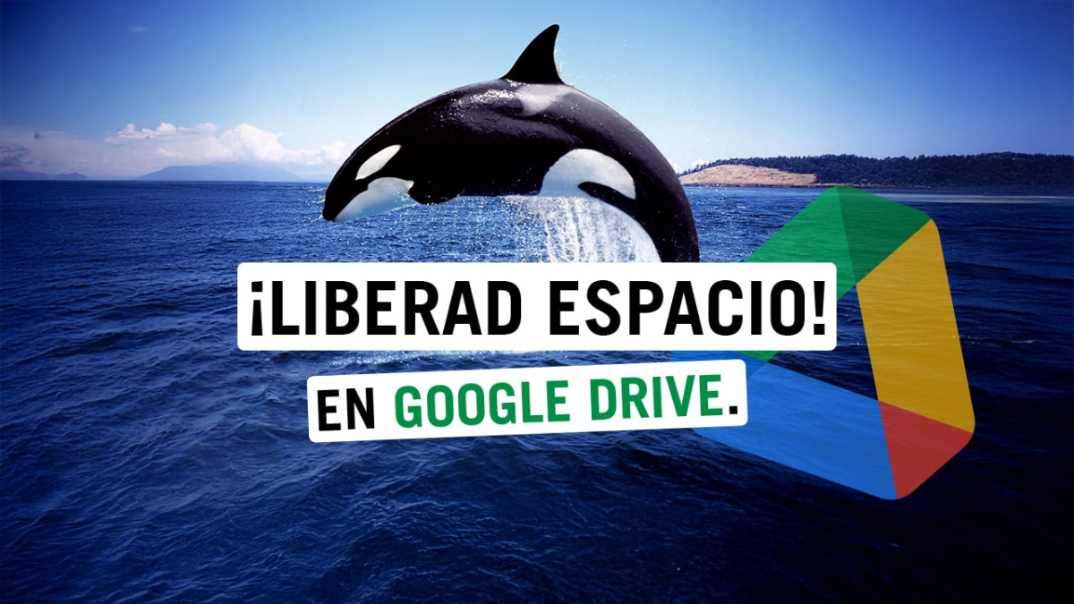 Libera espacio en Google Drive sin perder archivos importantes | Bloygo