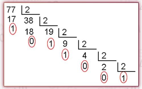 Cómo pasar de decimal a binario de forma manual o automática | Bloygo Cómo pasar de decimal a binario de forma manual o automática | Bloygo