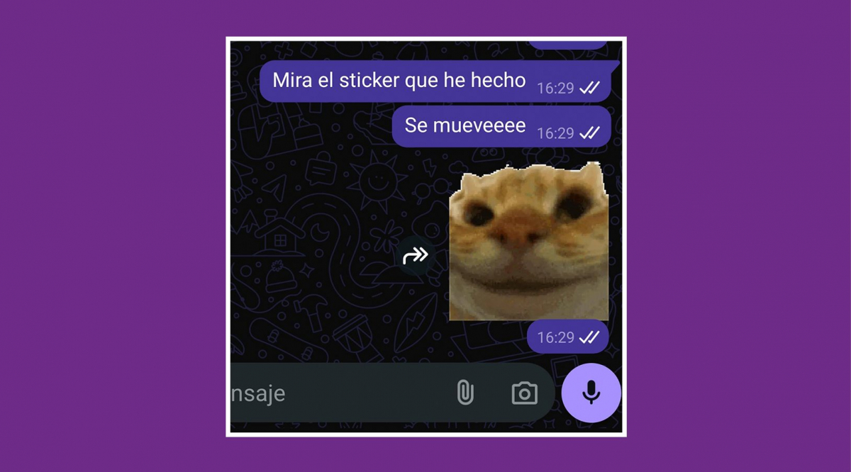Cómo crear stickers animados en WhatsApp paso por paso | Bloygo